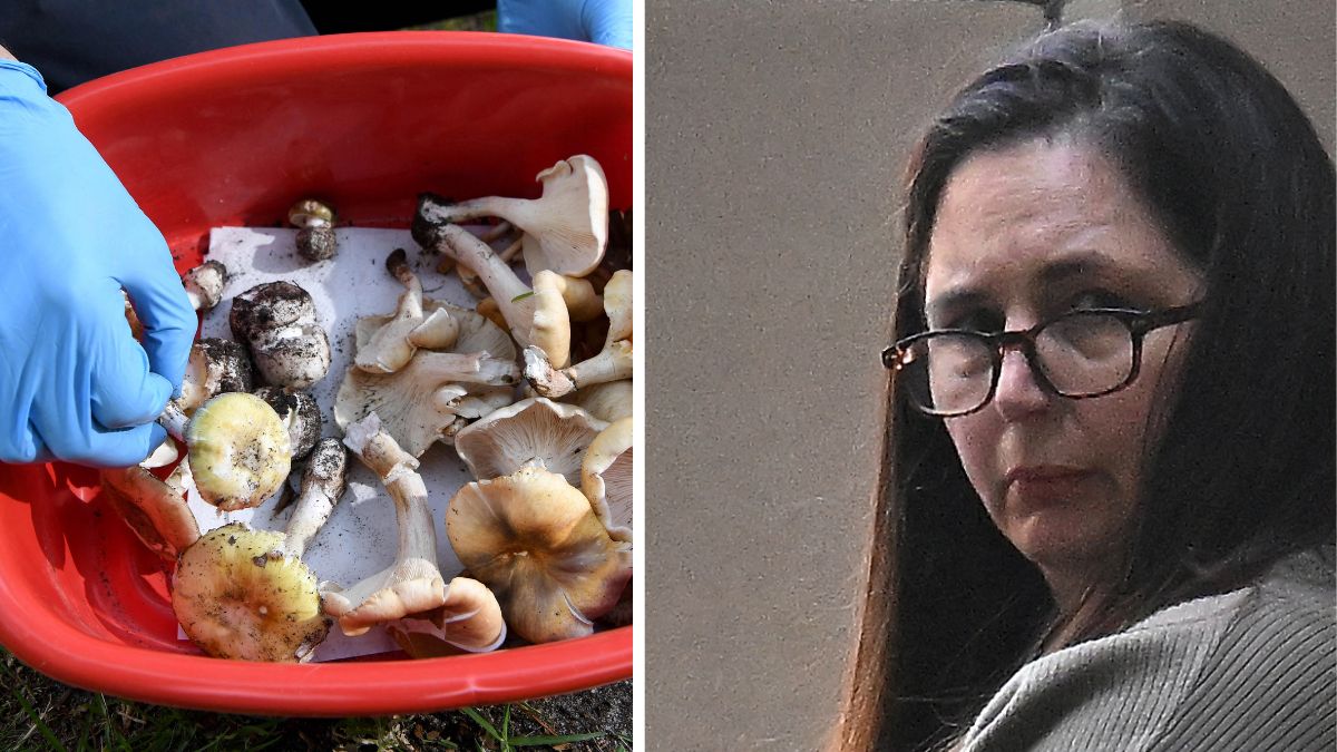 Erin Patterson verdict: death cap mushroom trial finds 50 year old guilty of killing in-laws ...